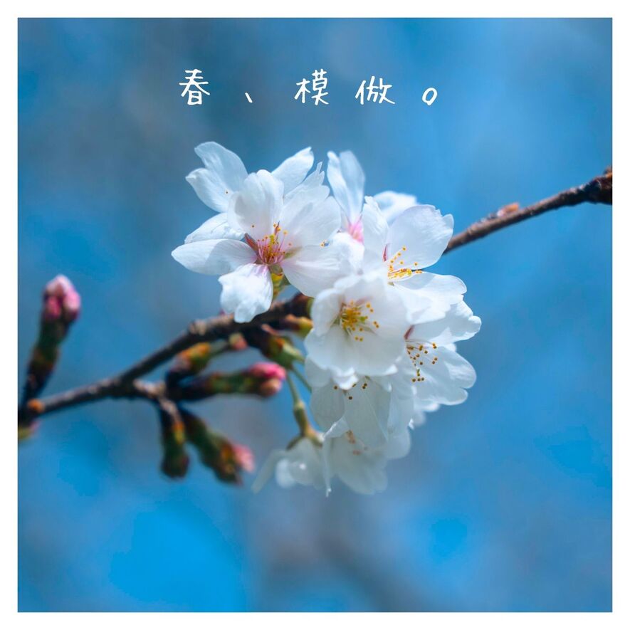 NexTone.Link: 春、模倣。