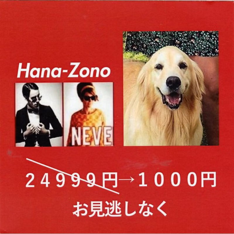 NexTone.Link: スパム